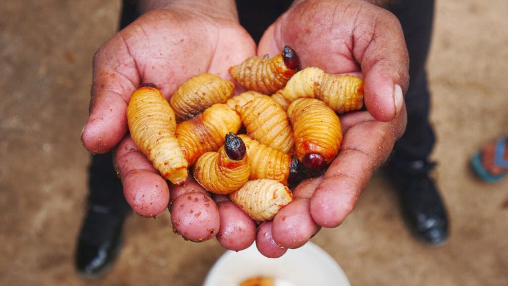 Exotic Snacks For Adventurous Foodies: From Fruit Chips To Tropical Tr ...