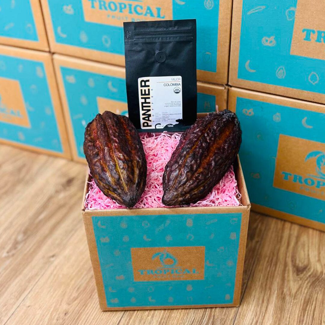 Cacao & Coffee Box - Tropical Fruit Box