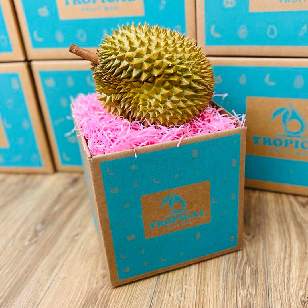 Fresh Durian - 1 Durian - Tropical Fruit Box