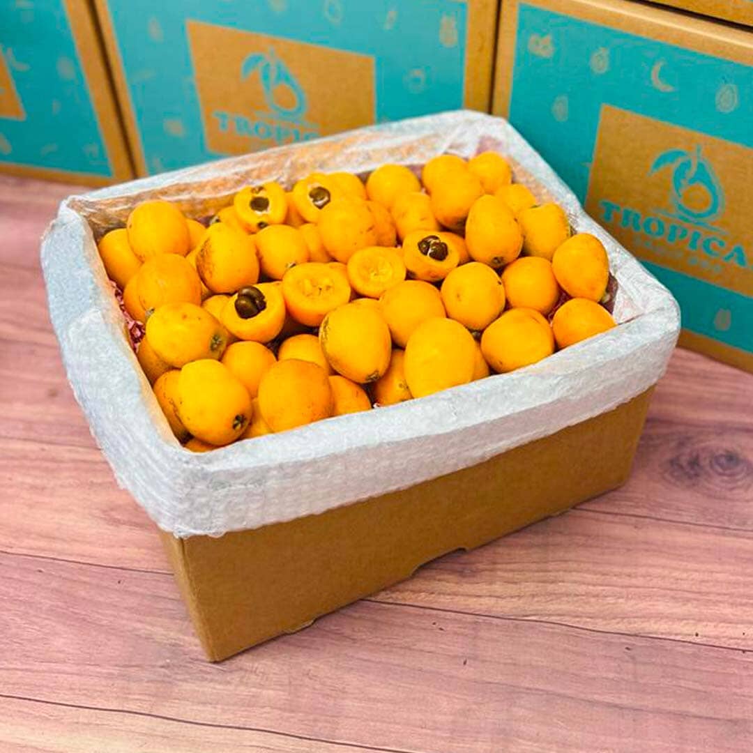 Fresh Loquat Fruit Box - Large (8lbs) - Tropical Fruit Box