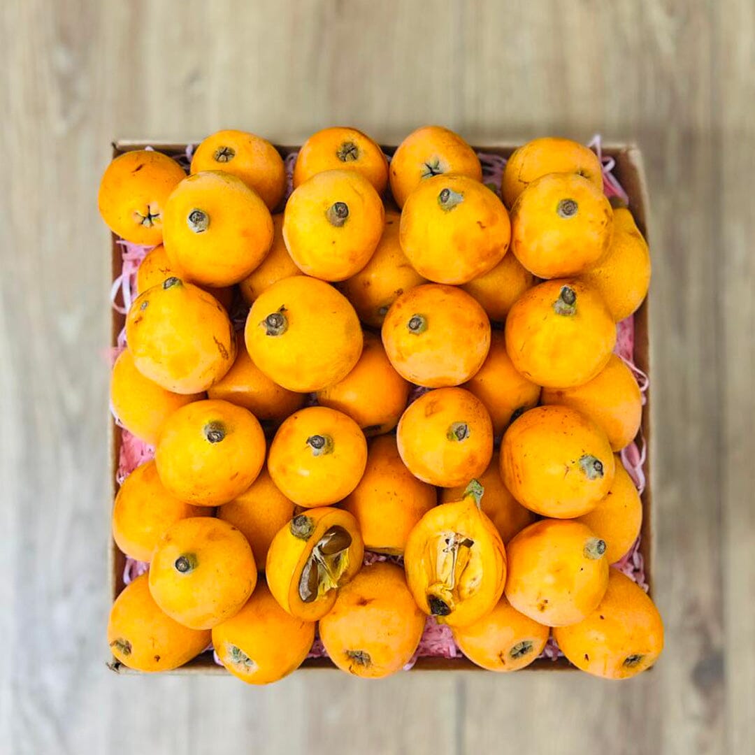 Fresh Loquat Fruit Box - Regular (5lbs)