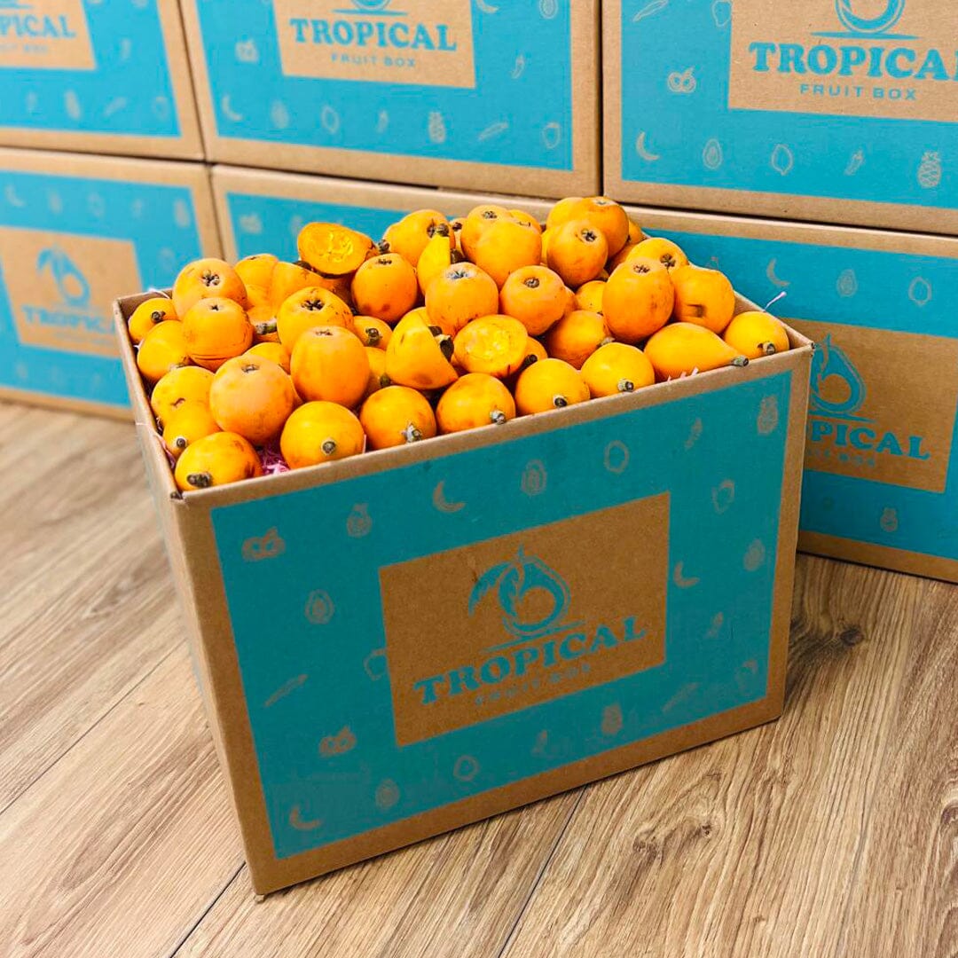Fresh Loquat Fruit Box - Large (8lbs) - Tropical Fruit Box