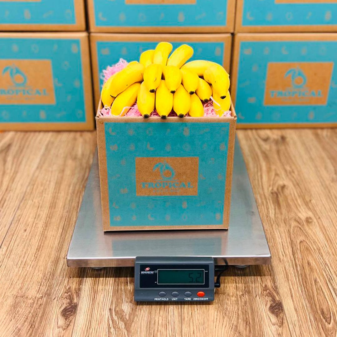 Apple Banana Manzano Box - Small (3 Pounds) - Tropical Fruit Box