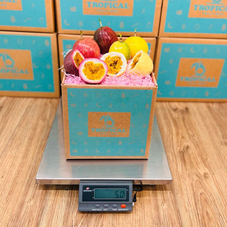 Tropical & Exotic Fruit Boxes - Tropical Fruit Box