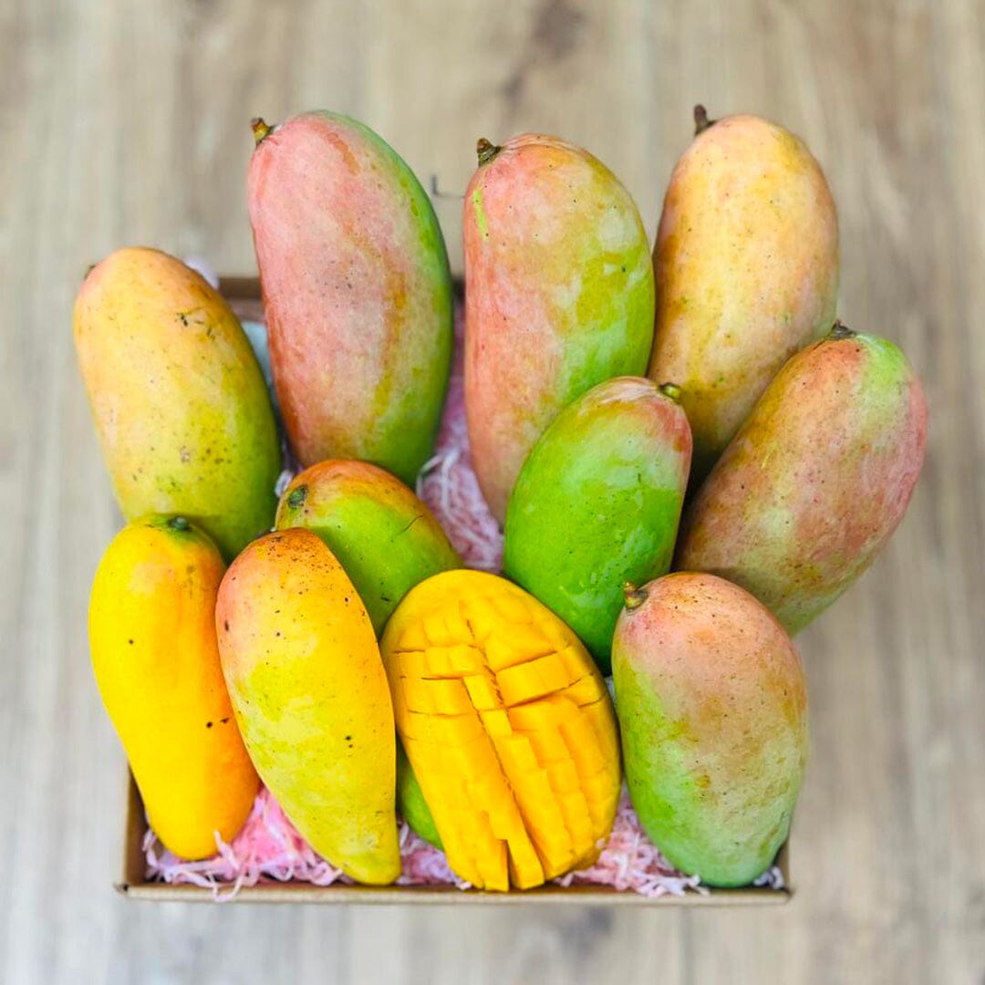 Rainbow Mango Box - Small (3 Pounds) - Tropical Fruit Box