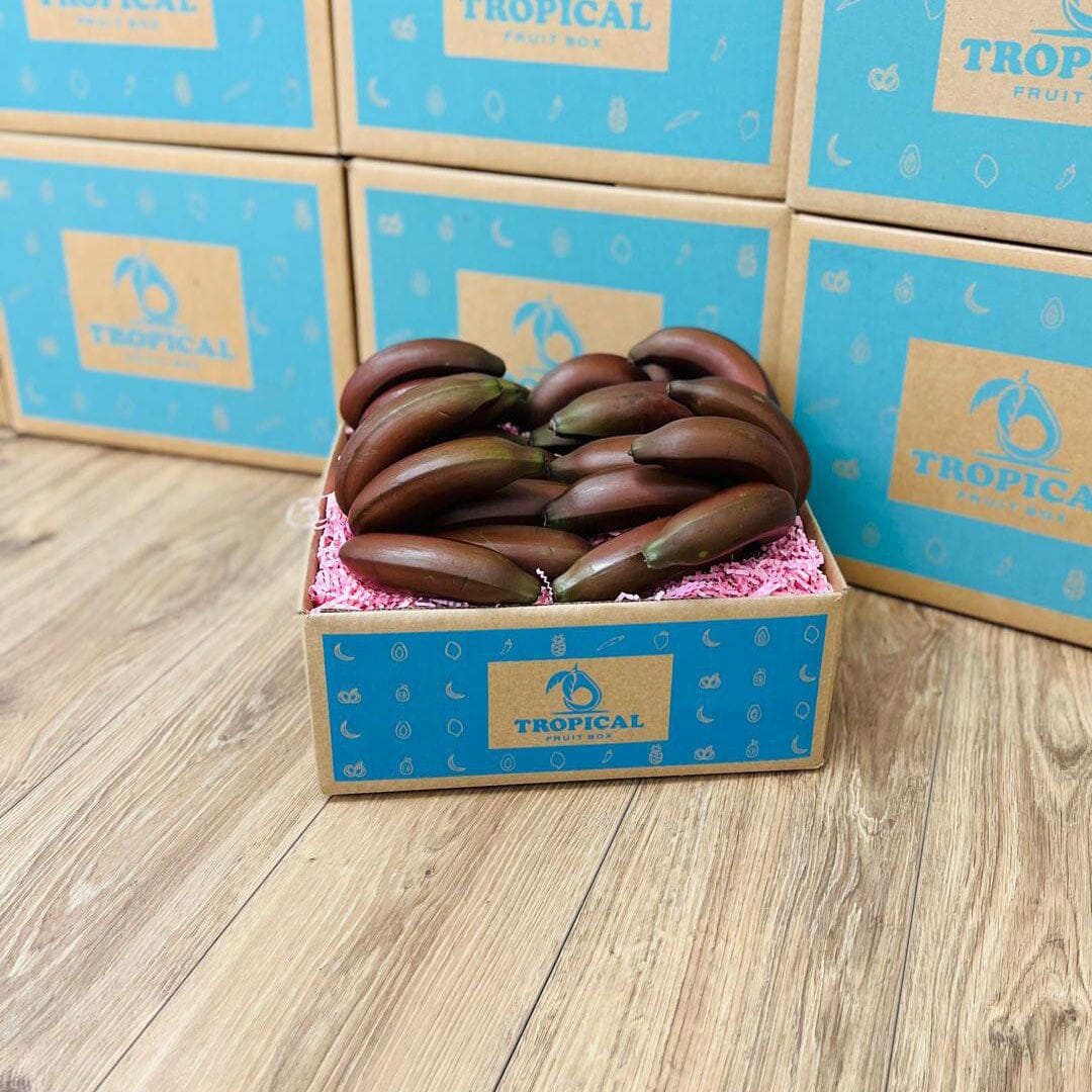Red Banana Box - Regular (8 Pounds) - Tropical Fruit Box