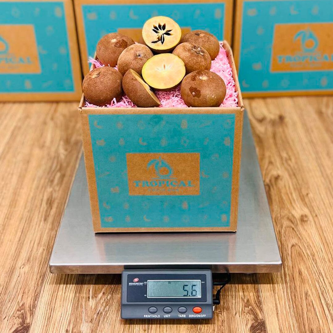 Great Sapodilla, Chico, Zapote, Nispero Super Fresh Online - Regular (5 ...