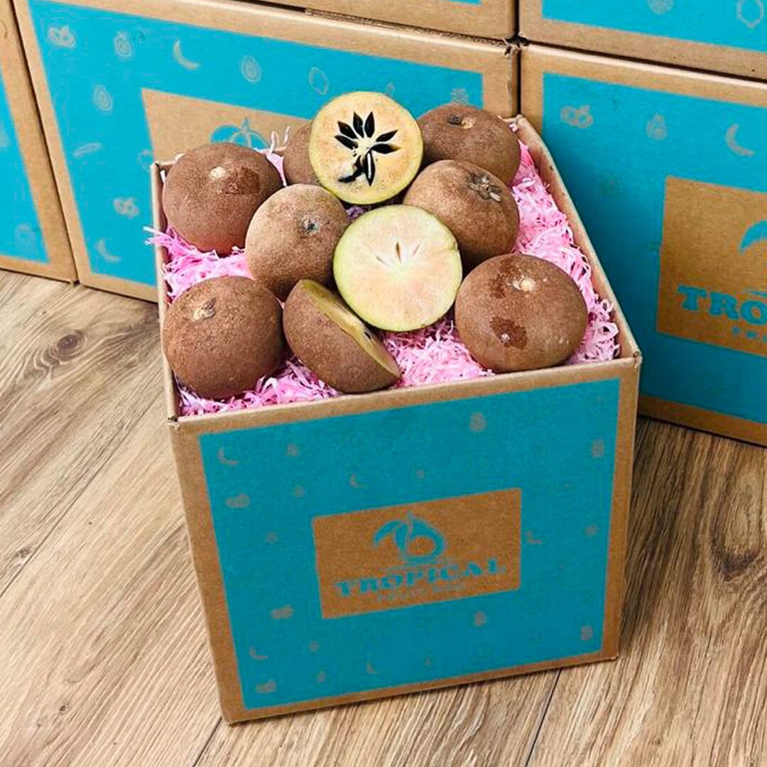Great Sapodilla, Chico, Zapote, Nispero Super Fresh Online - Regular (5 ...