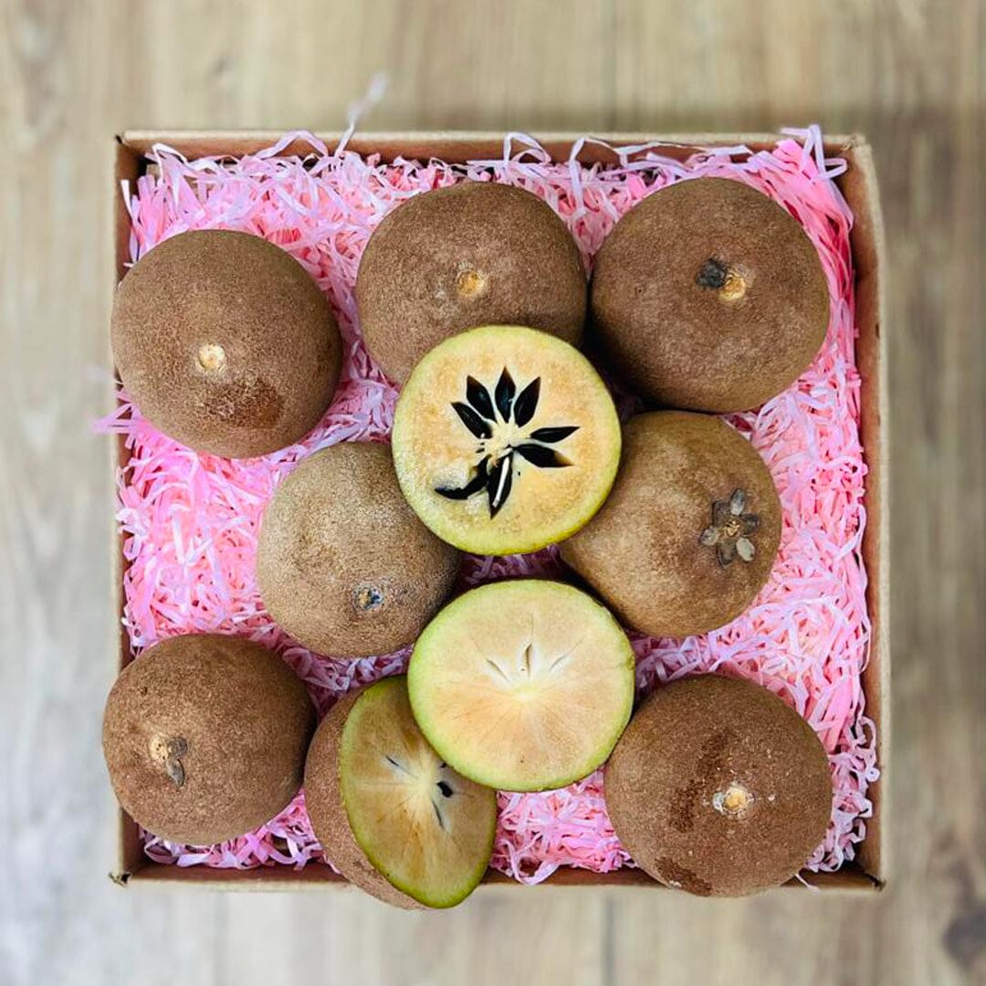 Great Sapodilla, Chico, Zapote, Nispero Super Fresh Online - Regular (5 ...