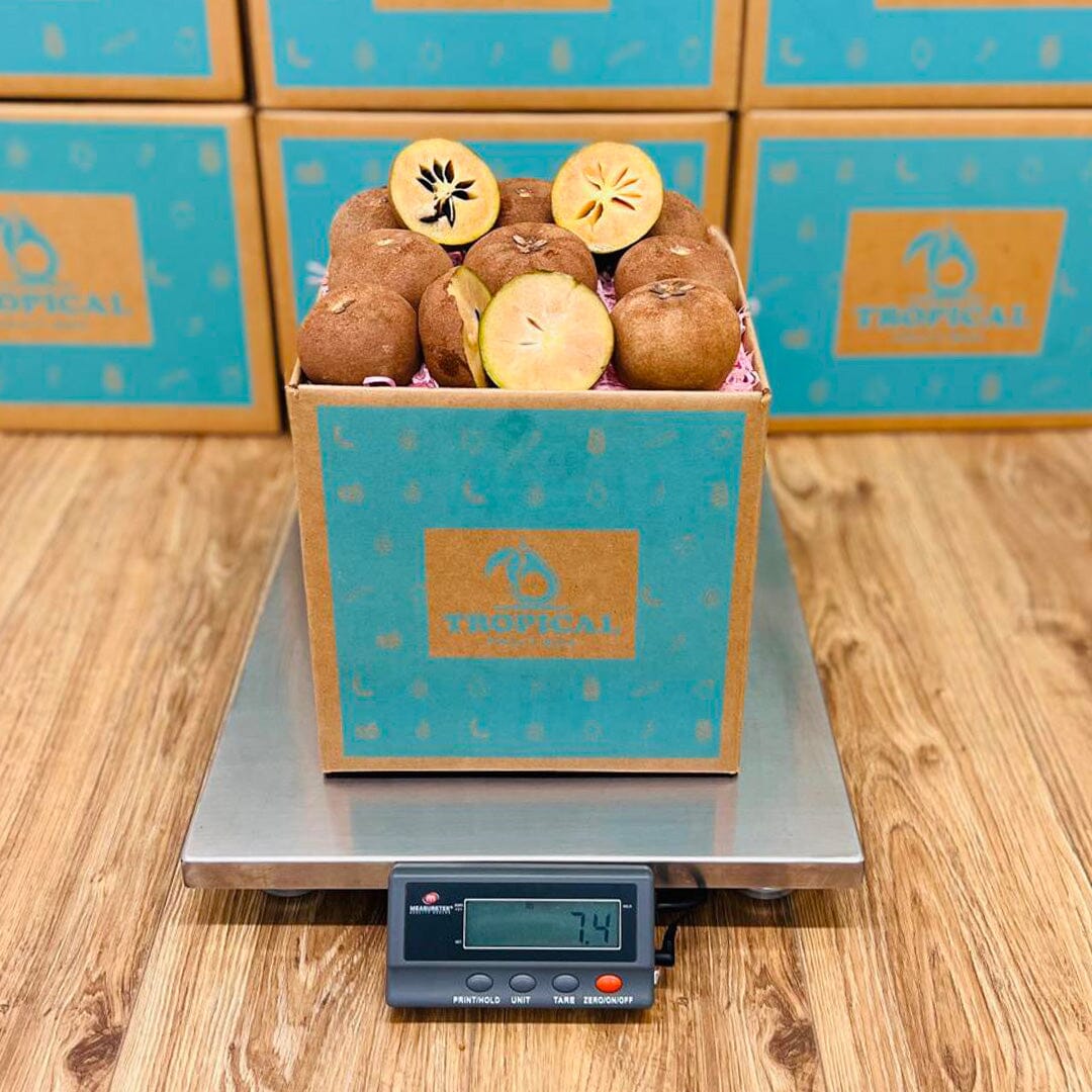 Great Sapodilla, Chico, Zapote, Nispero Super Fresh Online - Regular (5 ...