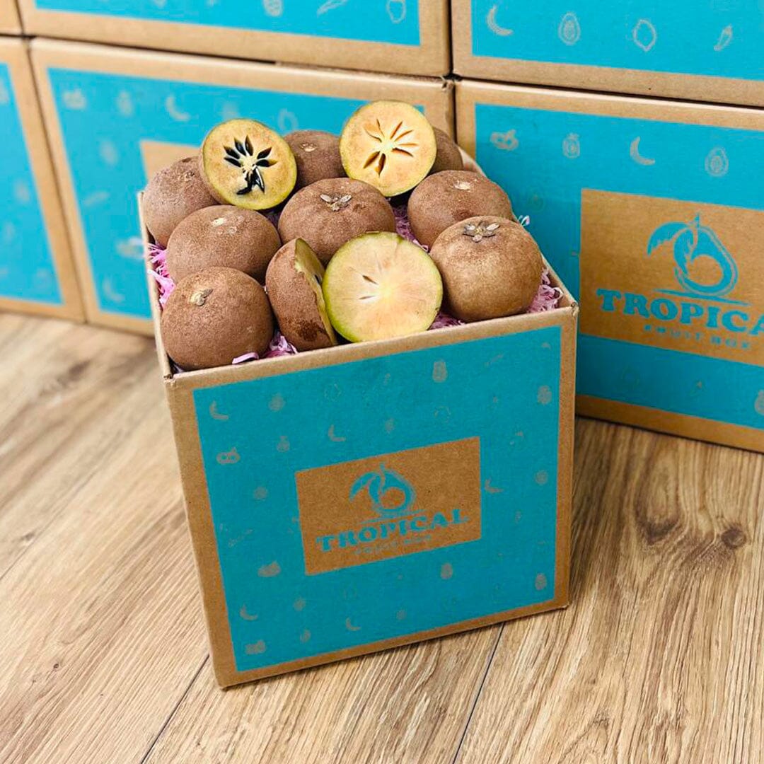 Great Sapodilla, Chico, Zapote, Nispero Super Fresh Online - Regular (5 ...