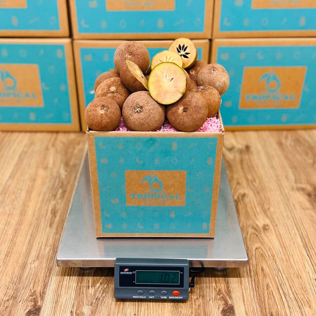 Great Sapodilla, Chico, Zapote, Nispero Super Fresh Online - Regular (5 ...