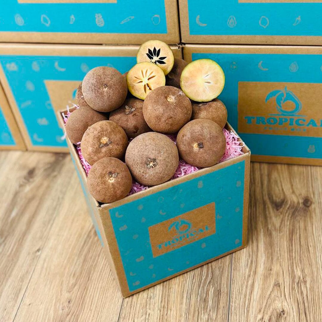 Great Sapodilla, Chico, Zapote, Nispero Super Fresh Online - Regular (5 ...