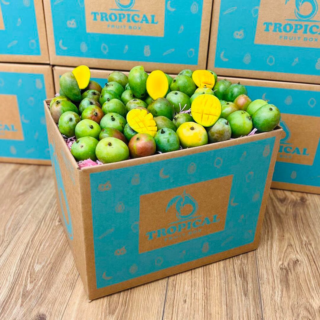 Sugar Mango Box - Large (8 lbs) - Tropical Fruit Box