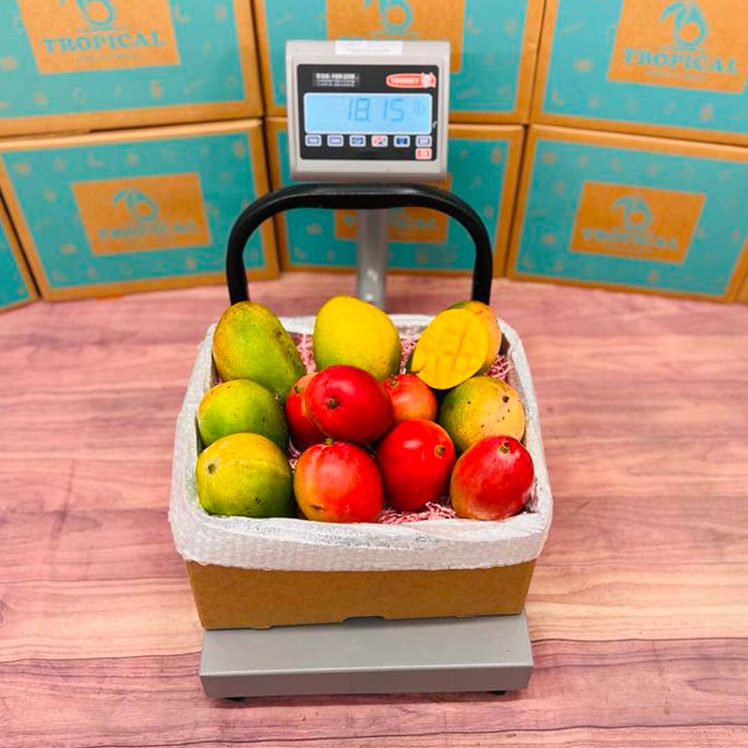 Tropical Mango Box - Order Your Fresh Tropical Mangos Online from ...