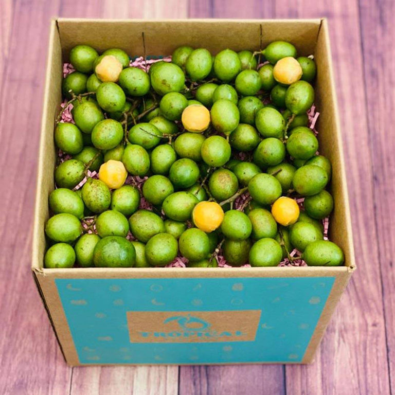 Popular Fruit Boxes - Tropical Fruit Box