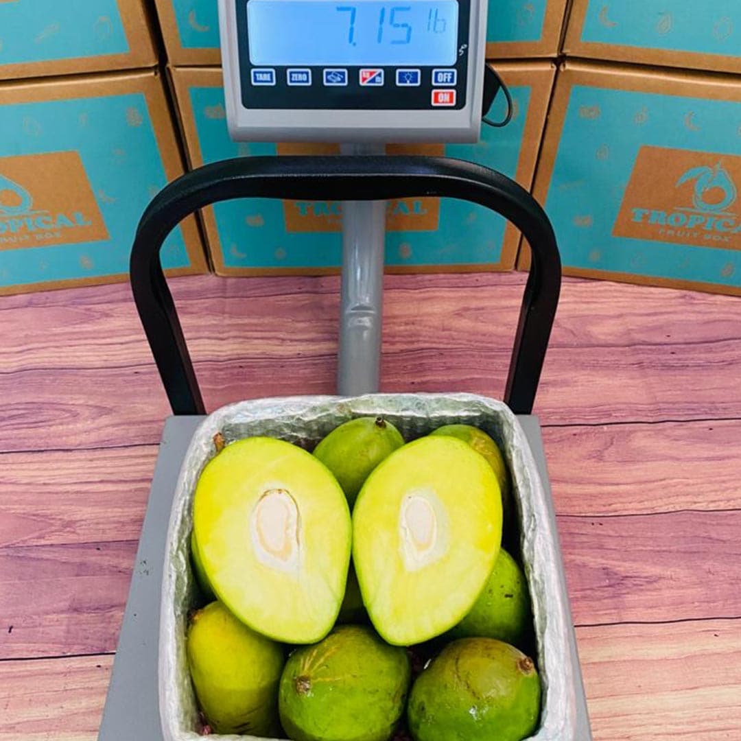 Green Mango Box | Order your box of fresh green mangos online - Small ...