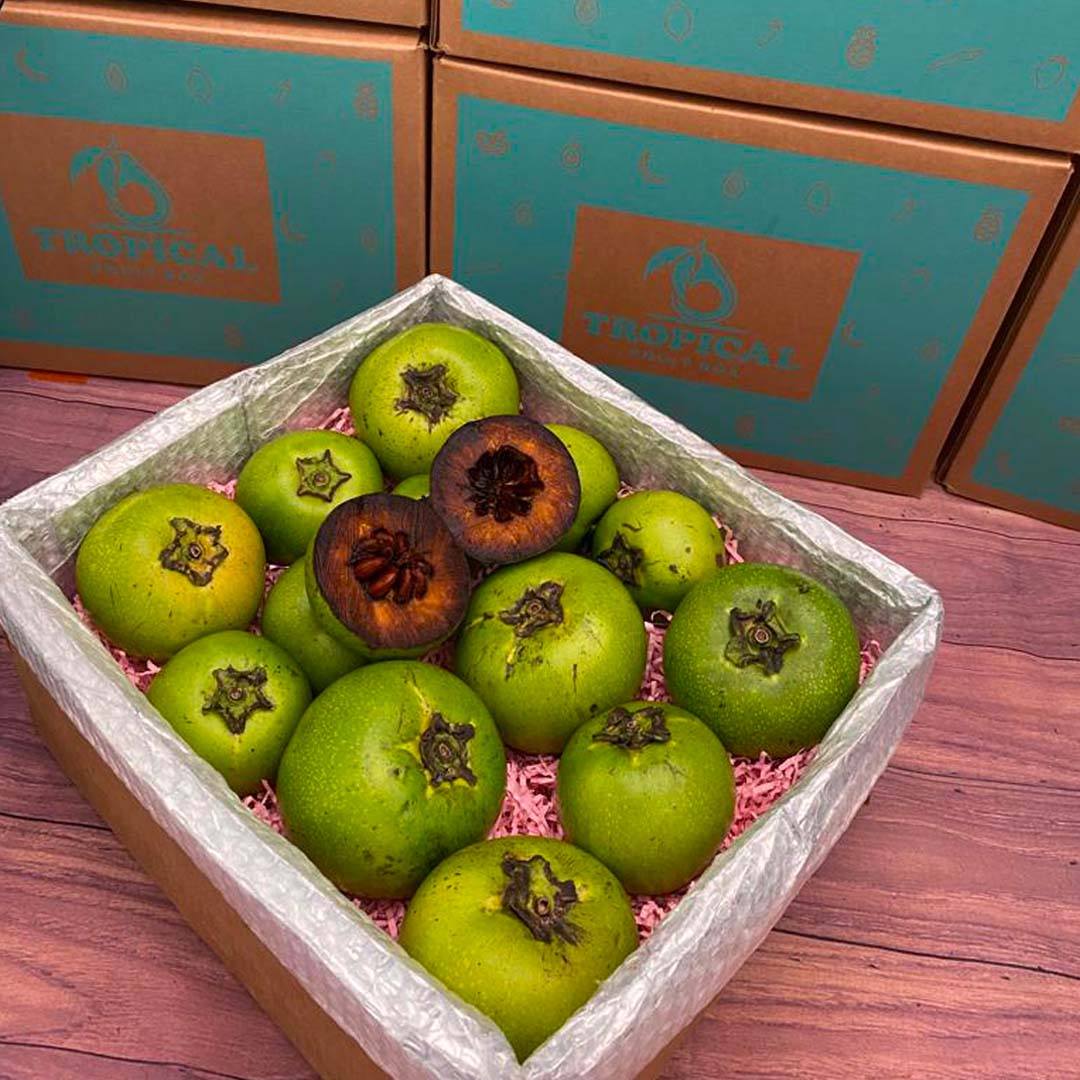 Black Sapote Box - Large 8 Pound Box - Tropical Fruit Box