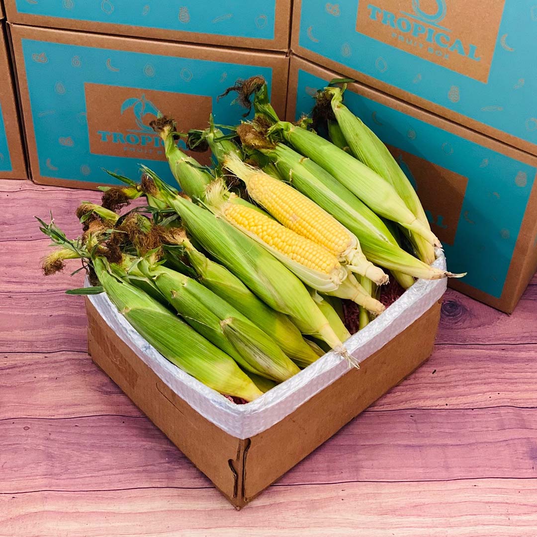 Florida Corn Box - Extra Large (16 Pounds) - Tropical Fruit Box