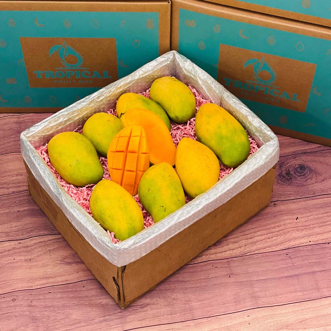 Haitian Mango - Order the king of Mangos Online at Tropical Fruit Box ...