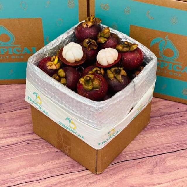 Buy Purple Mangosteen at Tropical Fruit Box - Small (3 Pounds ...
