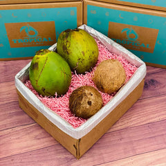 Mixed Coconuts - Medium (4 Coconuts) - Tropical Fruit Box