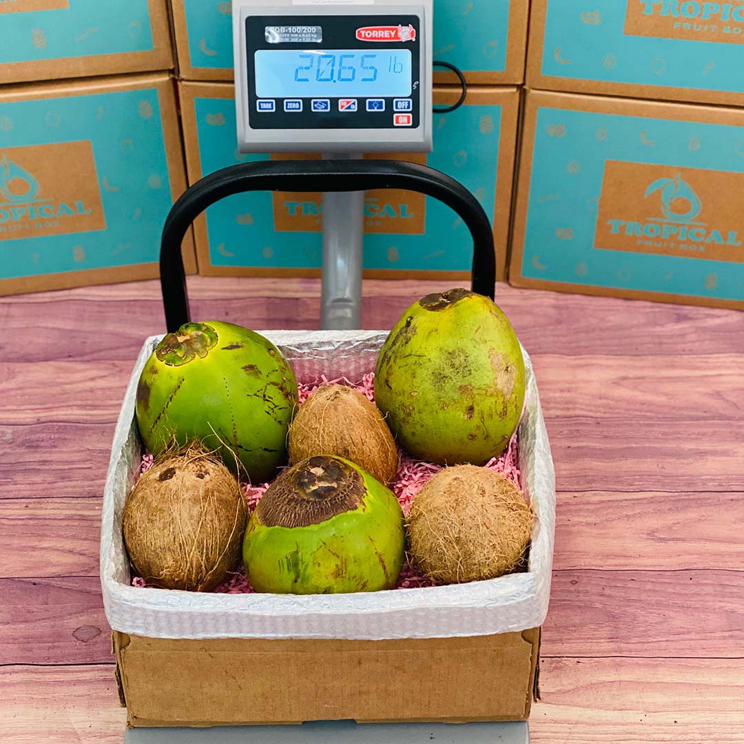 Mixed Coconuts - Medium (4 Coconuts) - Tropical Fruit Box