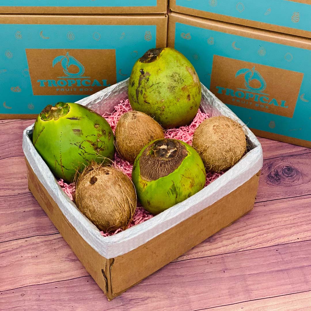 Mixed Coconuts - Medium (4 Coconuts) - Tropical Fruit Box