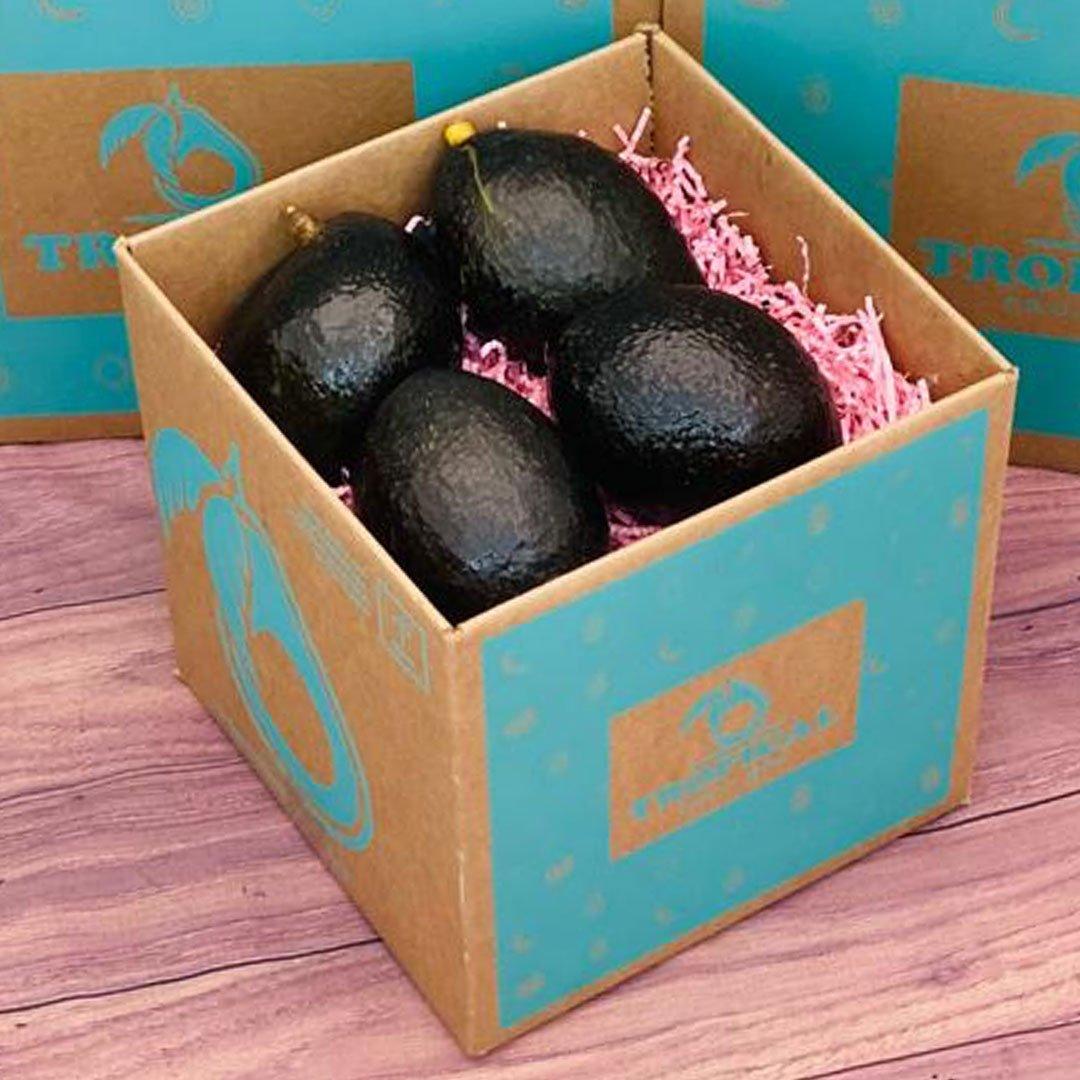 Oro Negro Avocado - Small (4 Avocados) - Tropical Fruit Box