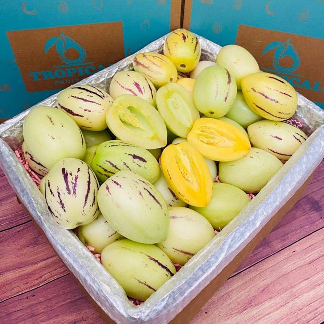 Pepino Fruit