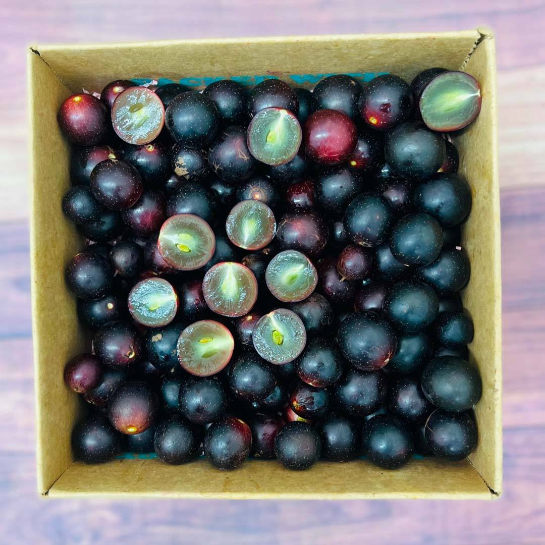 Red Muscadine Grape Box - Medium (5 Pounds) - Tropical Fruit Box