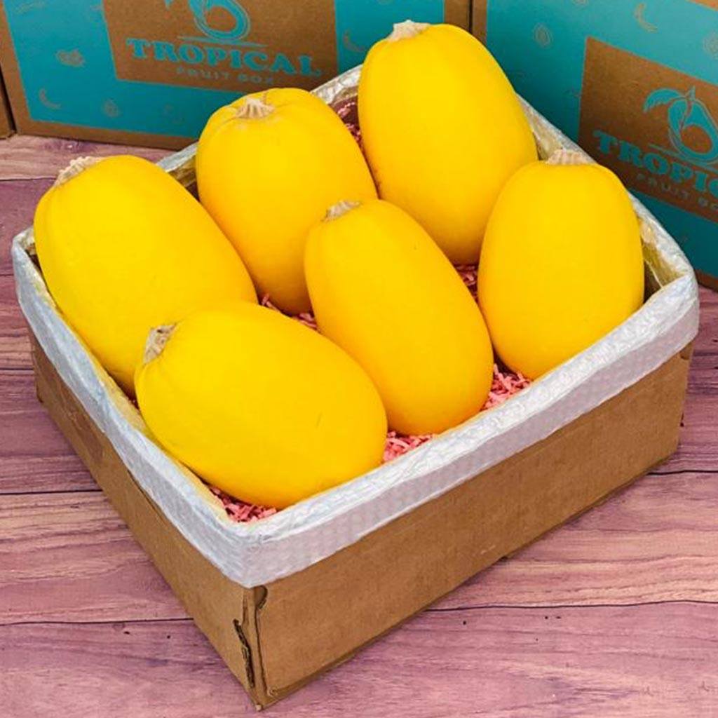 Spaghetti Squash Box - Tropical Fruit Box