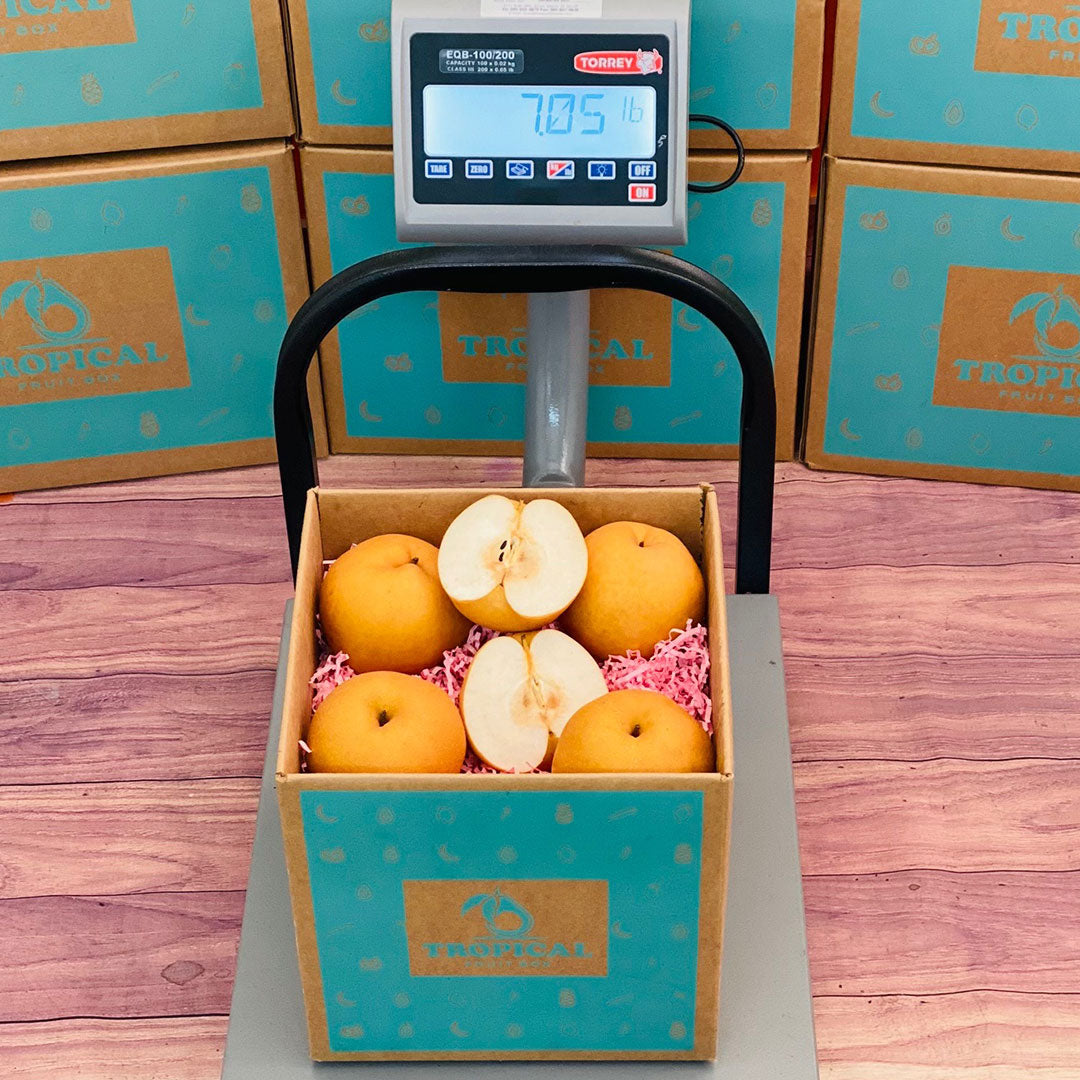 Asian Pear - Korean Pear Box - Tropical Fruit Box