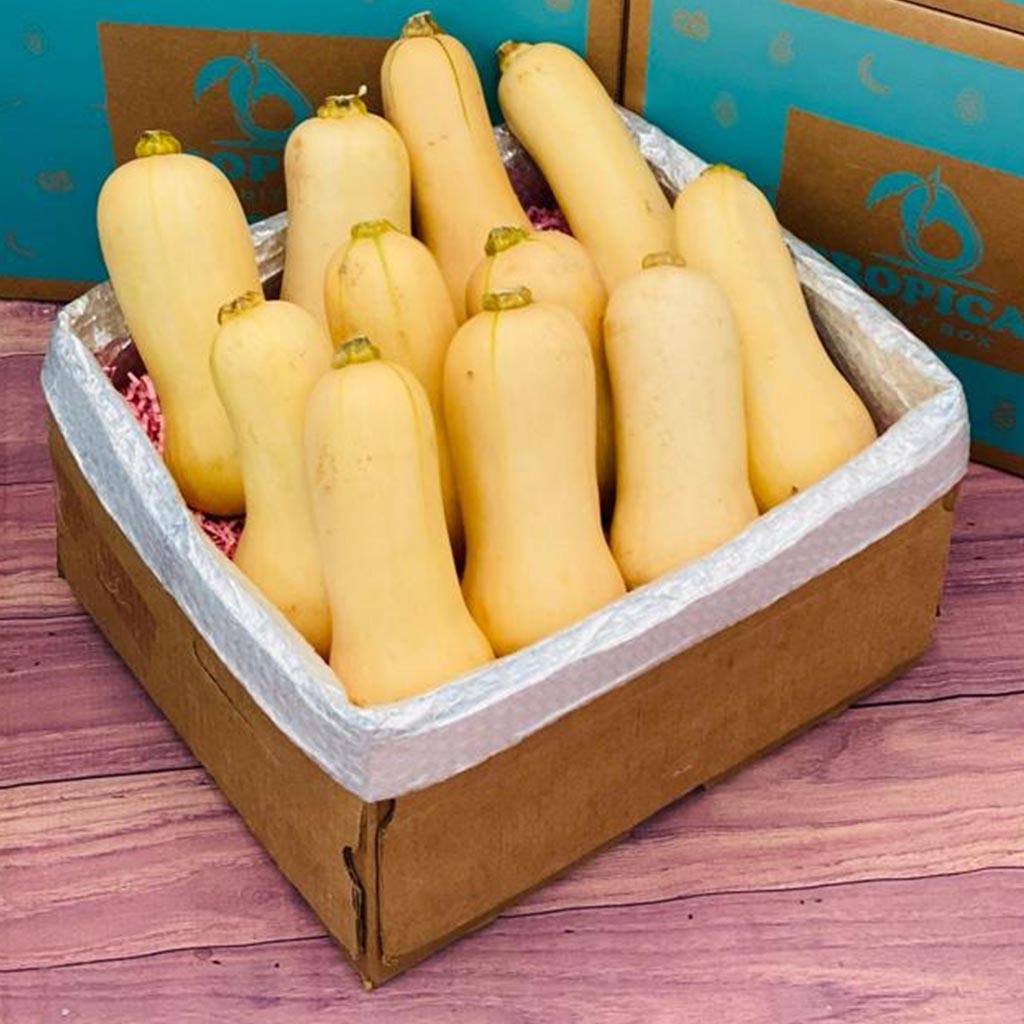 Butternut Squash Box - Tropical Fruit Box
