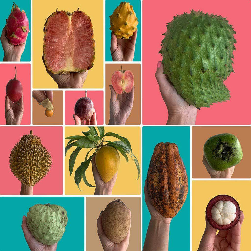 All Tropical and Exotic Fruits and Roots - Tropical Fruit Box