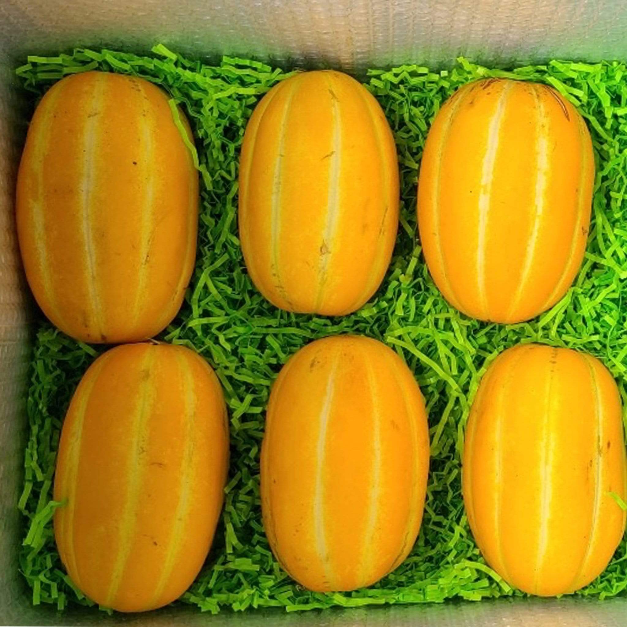 Korean Melon Box | Order a Box of Korean Melons Online Today ...