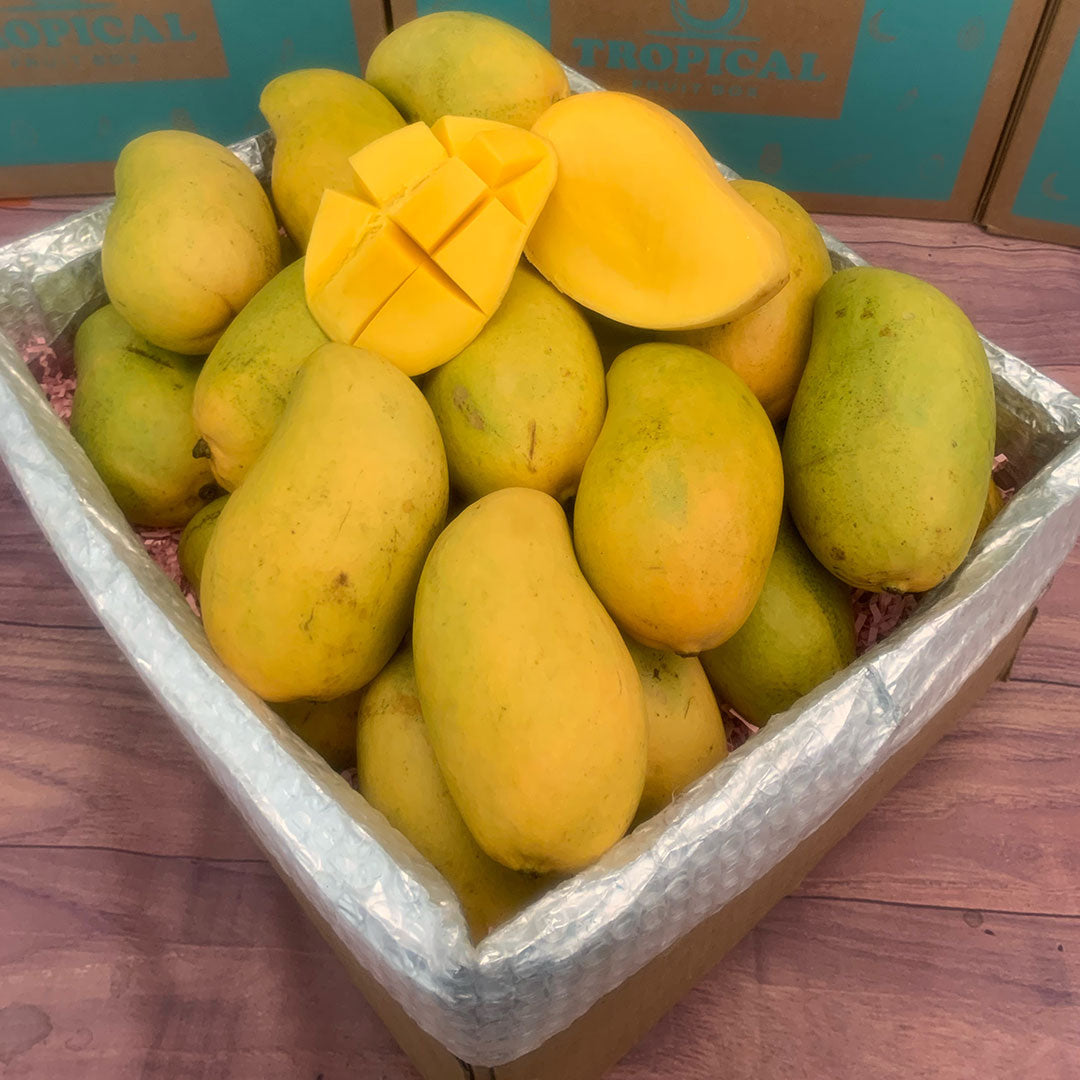 Mingolo Mango Box - Large (16 Pounds) - Tropical Fruit Box